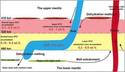Frontiers | Global water distribution in the mantle transition zone from a seismic isotropic ...